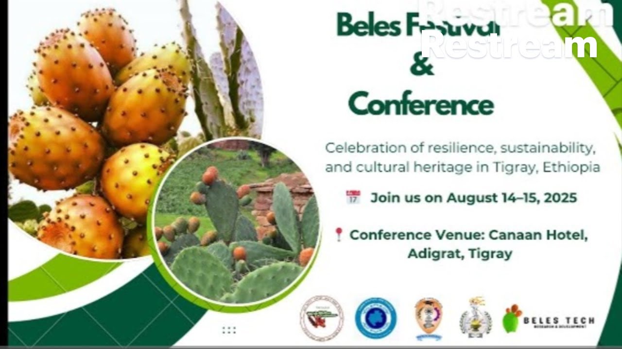 Beles (Cactus Pear) Festival & Conference in Adigrat, Tigray, Ethiopia ...