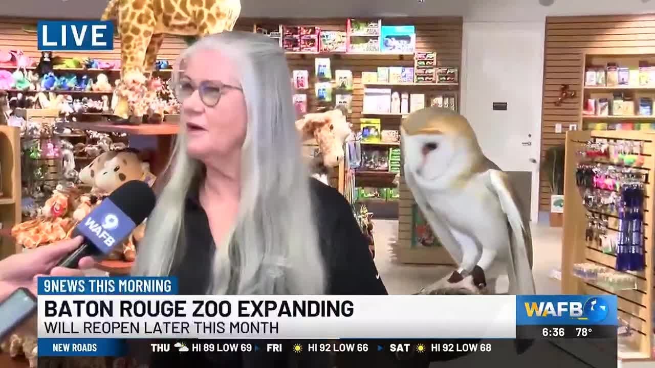 Baton Rouge Zoo expansion reopens soon - YouTube