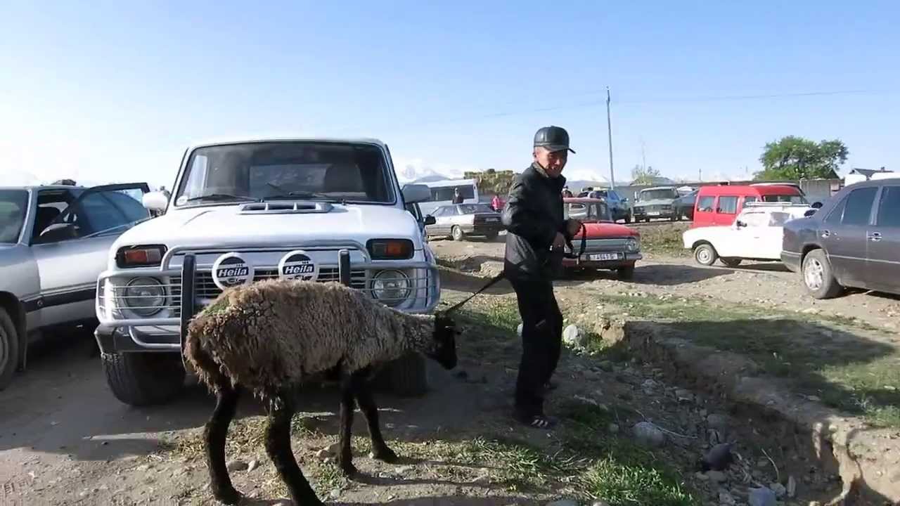 Karakol Animal Market - YouTube