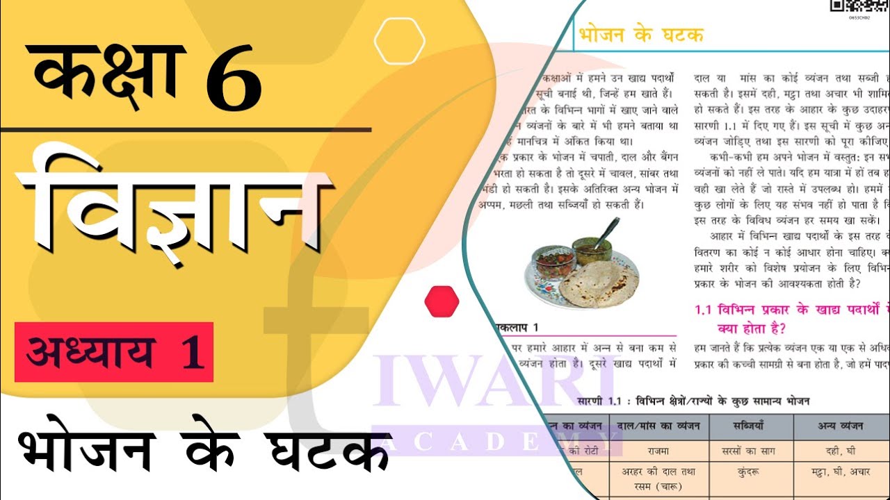 NCERT Solutions for Class 6 Science Chapter 1 in Hindi Medium - YouTube