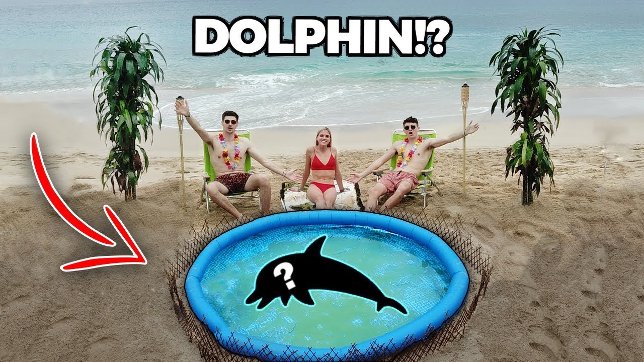 BUILDING A BEACH POND!! ... (with dolphins) - YouTube