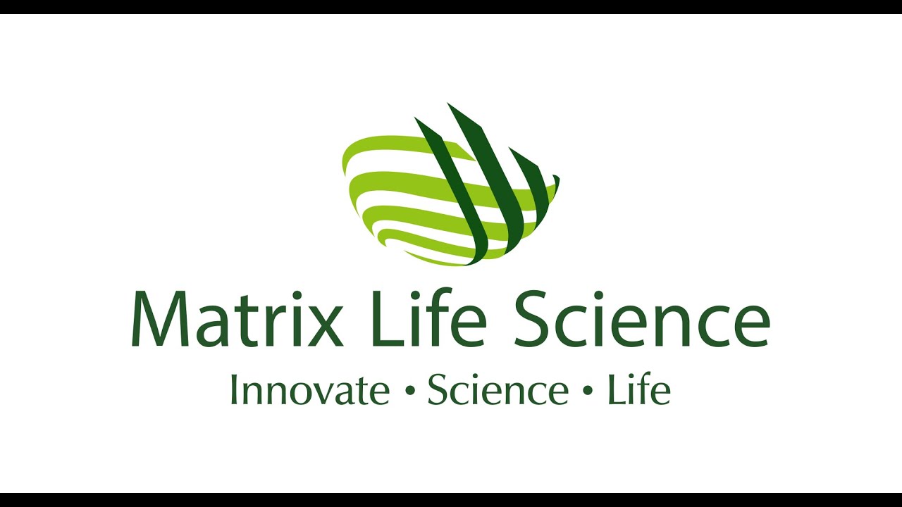 Life at Matrix - Part 1 - YouTube