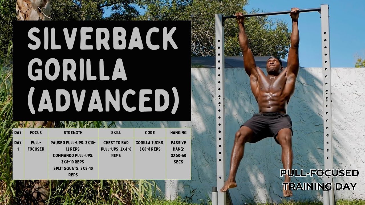 Silverback Gorilla Level 4/4 | Full Training Day 1 (Advanced Strength & Core Training) - YouTube