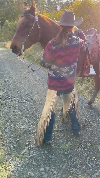 Beautiful horse | horse lover | horse riding | animals lover | animals ...