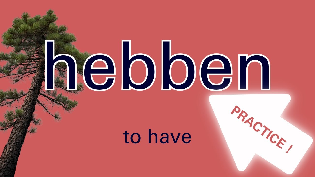 HEBBEN - to have - present / past / perfect #learndutch #hebben - YouTube