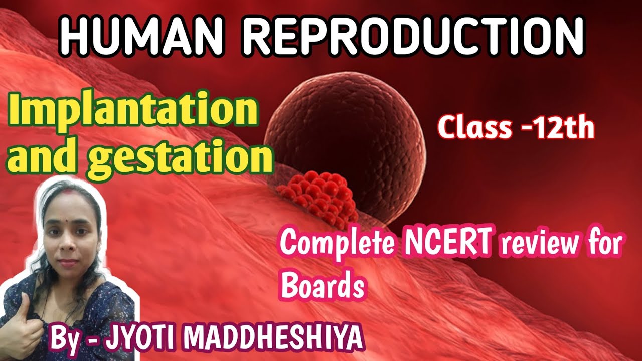 HUMAN REPRODUCTION || IMPLANTATION AND GESTATION || COMPLETE NCERT AND ...