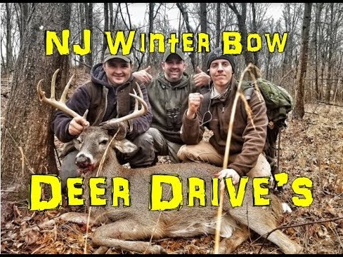DEER DRIVE BIG BUCK!!! 1st BOW BUCK! - YouTube