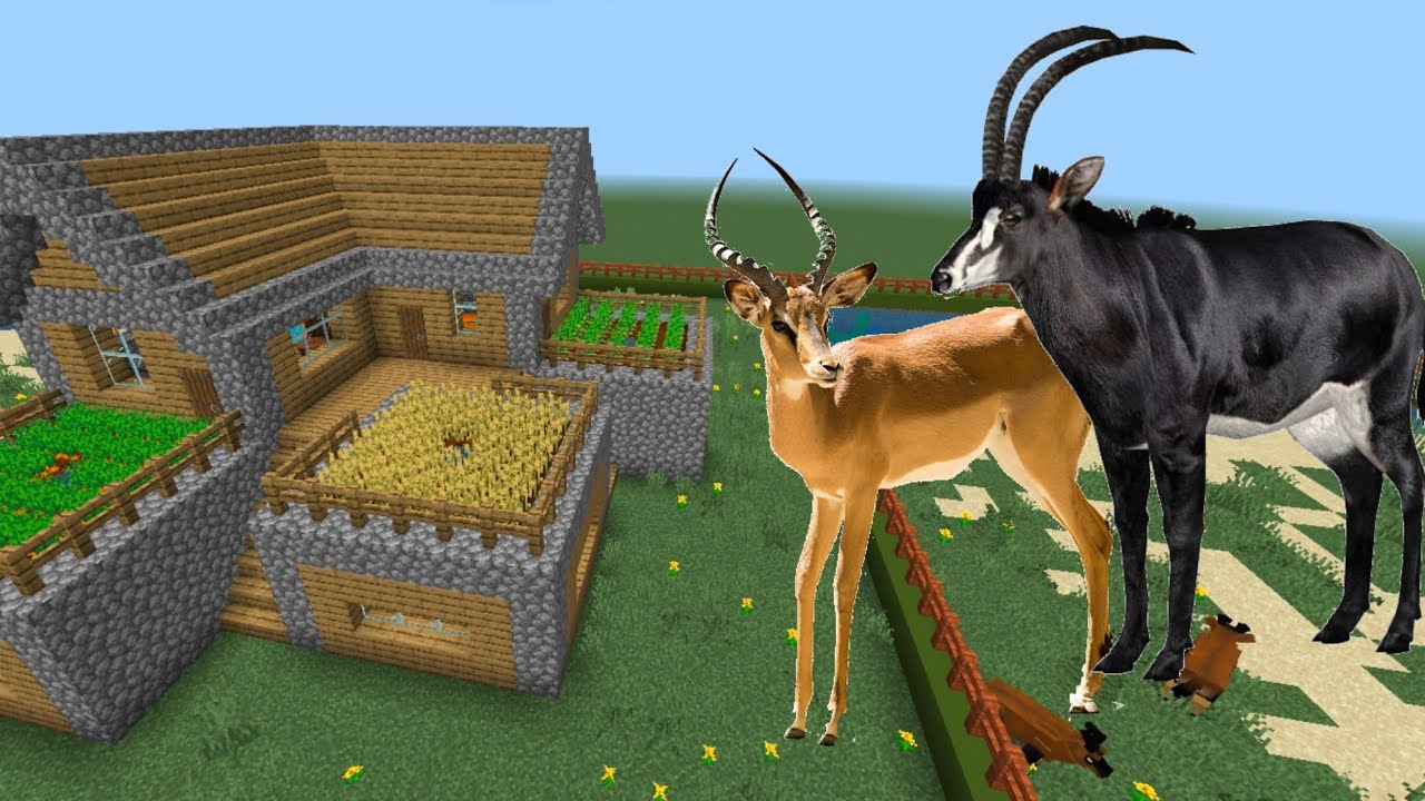 farm for Tsessebes Antelope & Sable Antelope in minecraft!!!! - YouTube