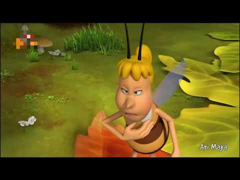 ARI MAYA►ÖZEL MÜLK