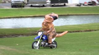 T Rex Costume Motorcycle | Reviewmotors.co