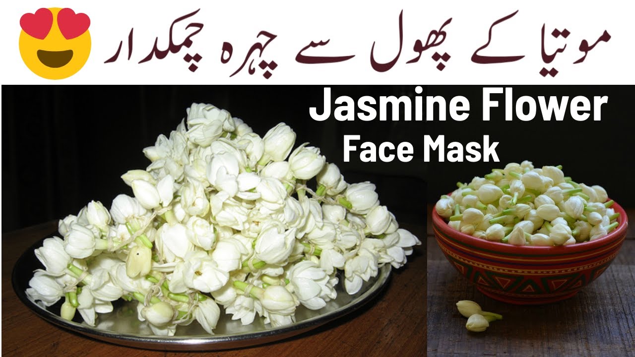 Jasmine Flower Face Mask | Glowing Skin | Jasmine Flower | Glowing Skin ...