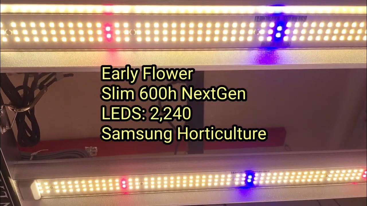 New Slim 600H NextGen LED grow - 4 Plants on Drip system - YouTube