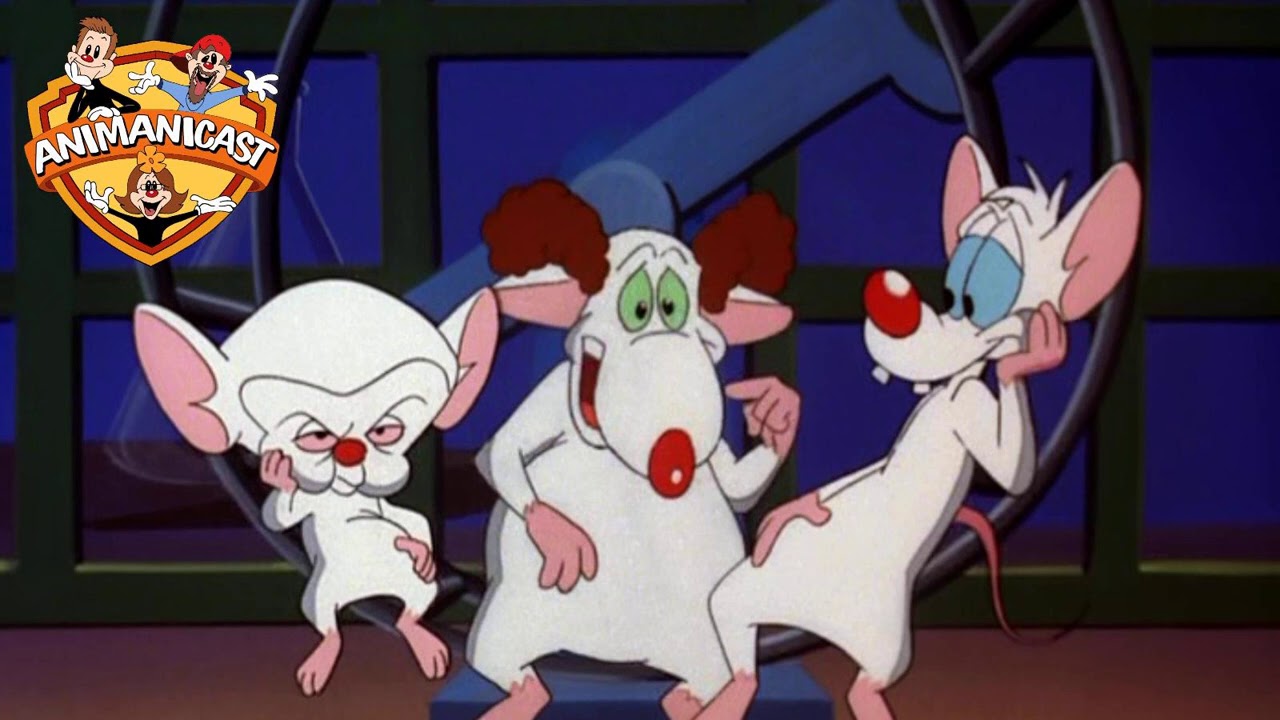 Pinky And The Brain Videos