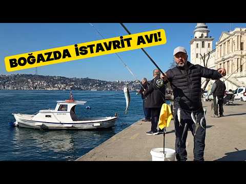 BOĞAZDA İSTAVRİT AVI / ÇAPARİ İLE İSTAVRİT AVI / KULELİ den BEYLERBEYİ 'ne 🎣 BOSPHORUS FISHING 🌊