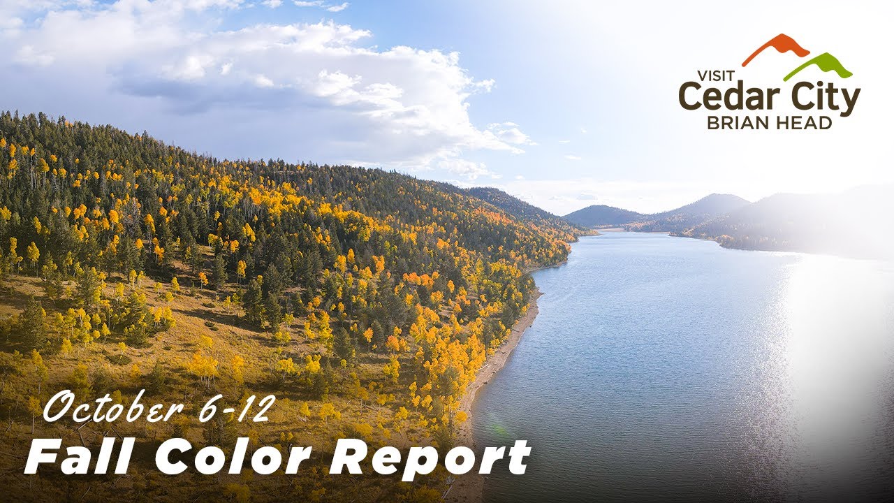 Week 4 Fall Color Update 🍂 | Cedar City, Brian Head & Parowan, UT - YouTube