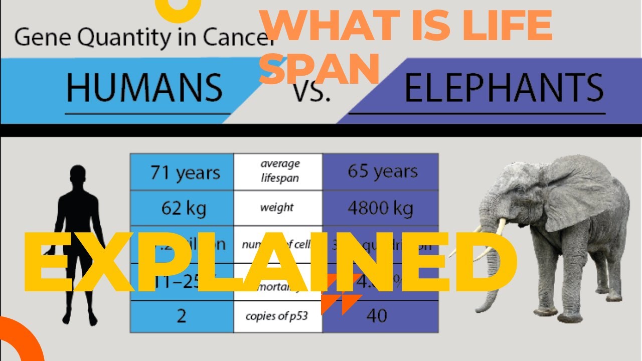 12th Biology|Topic Reproduction in organisms|Life Span Video -1|#Life ...