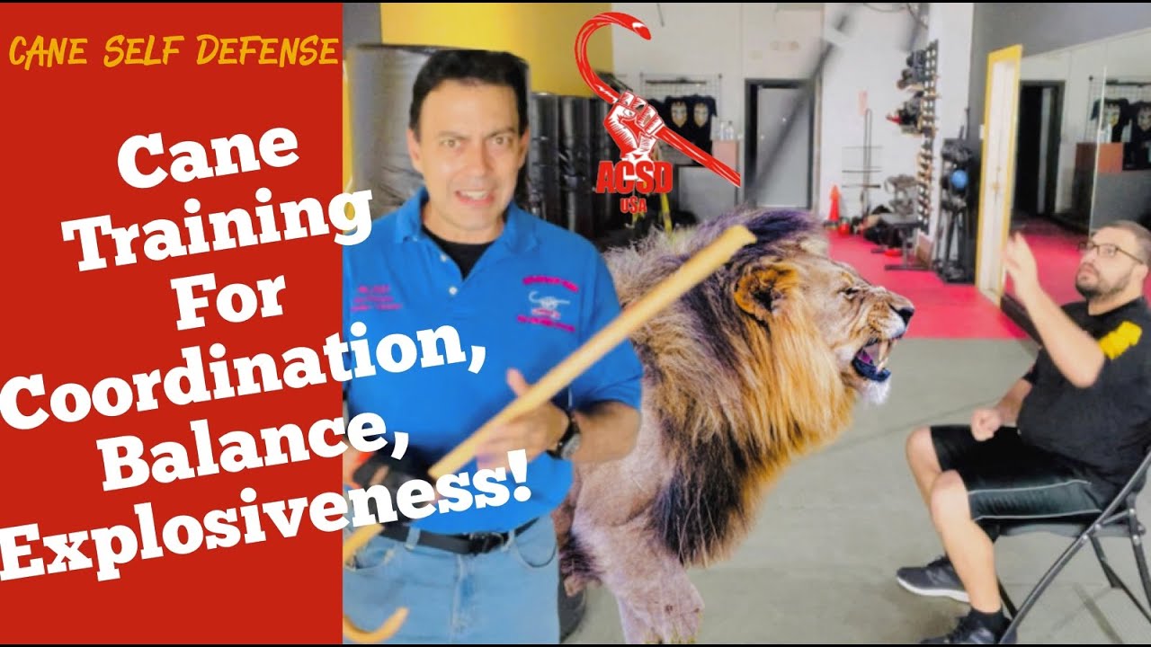 Cane Self Defense: Cane Training for Coordination, Balance, and ...