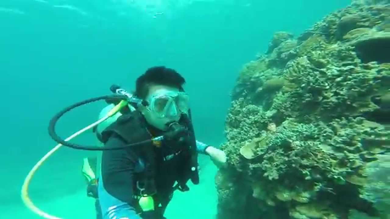 Scuba Diving in Sipalay Negros Occidental LoneTraveler - YouTube