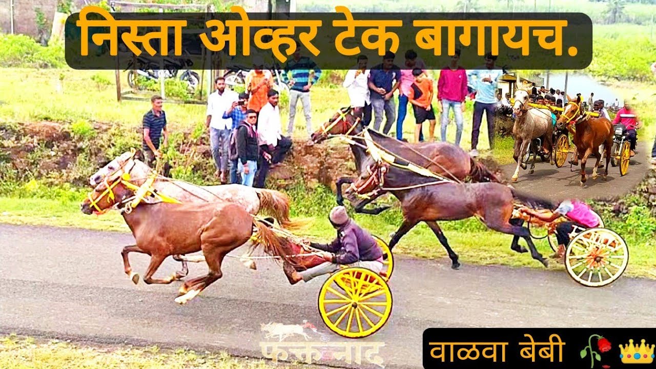 valava bebi nist veg Ani over tek bagych | वाळवा बेबी | ghodagadi ...