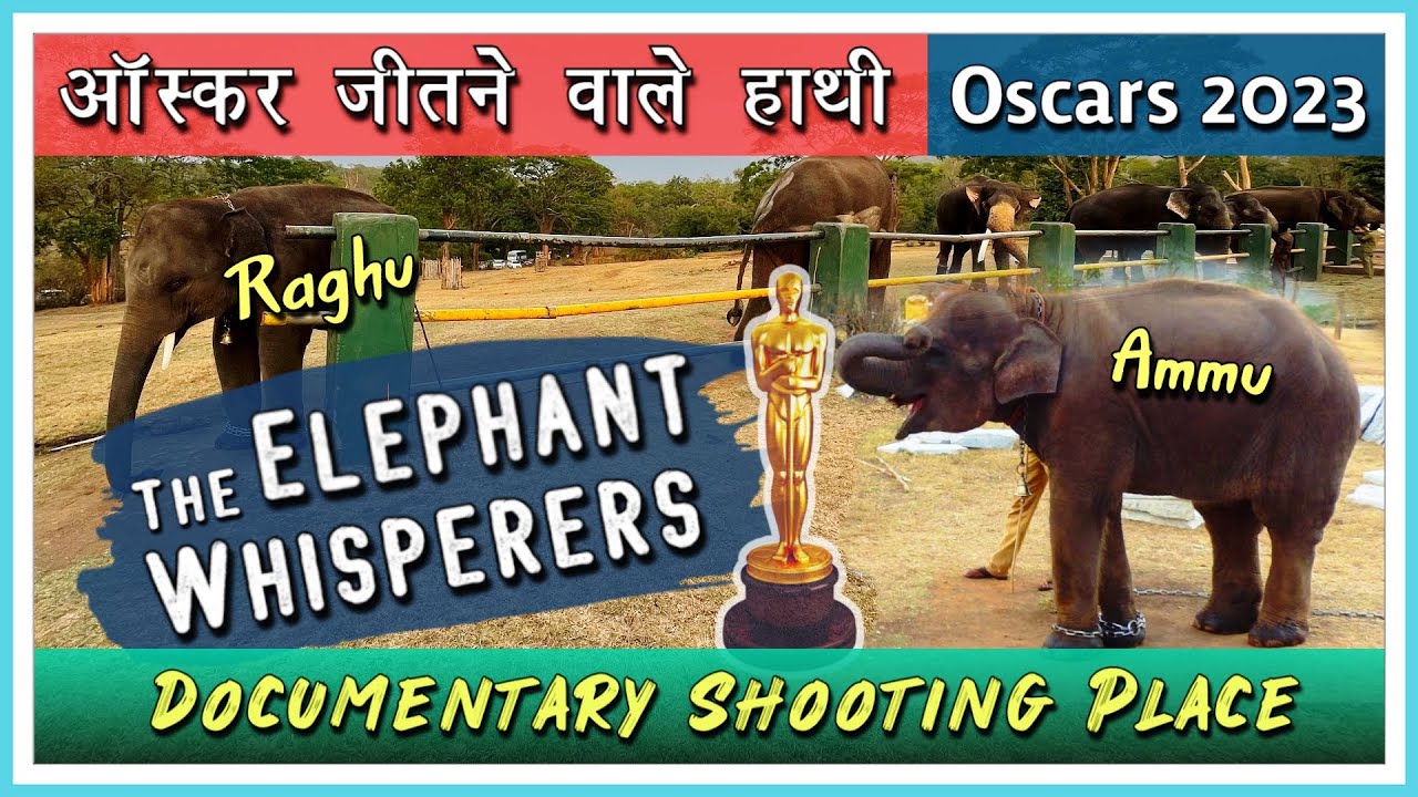 The Elephant Whisperers - Shooting Location | Theppakadu Elephant Camp ...