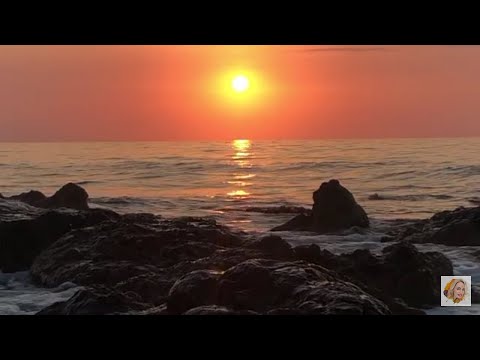 BENİMSİN / Şiir Yüksel Polat _ Yorum Nazlı Saraç Orak (Naz'ca)