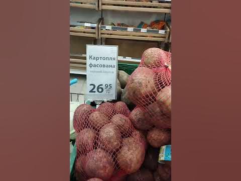 Картошка в сетке.Цена.Магазин АТБ#картошка#сетка#цена#атб - YouTube
