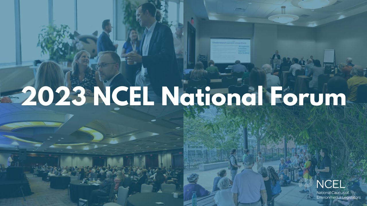 NCEL 2023 National Forum Recap - YouTube