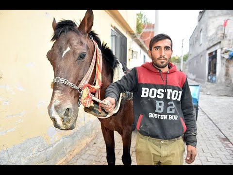 Yakılan at arabası başında gözyaşı dökmüştü, yeni arabasına kavuştu