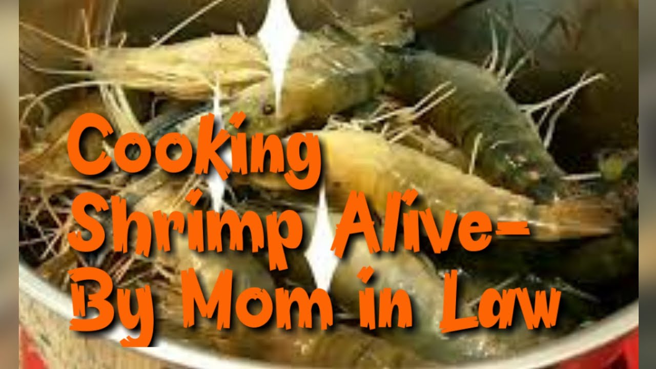 Cooking Shrimp Alive - By Mom in Law - YouTube