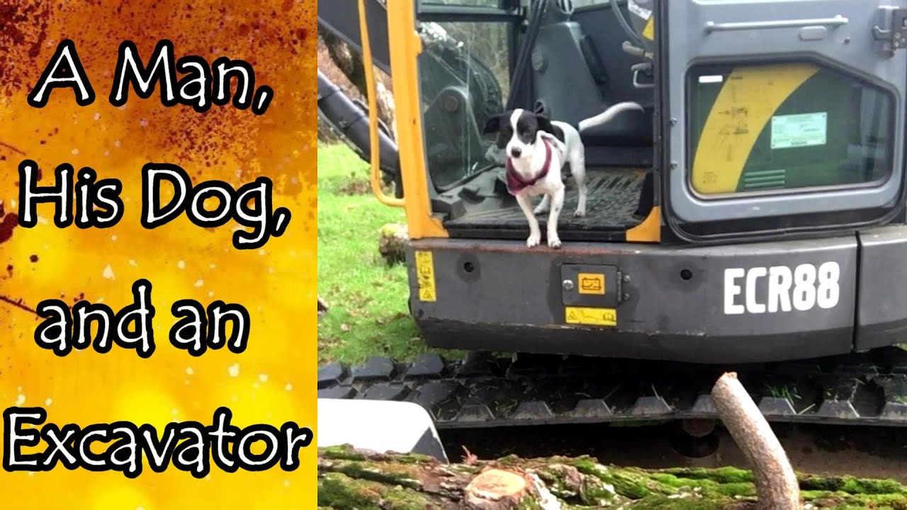 A Man, His Dog, and an Excavator - YouTube