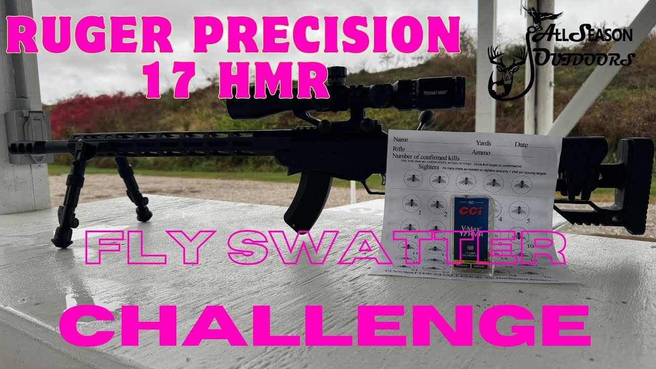 Ruger Precision 17 HMR Fly Swatter Challenge - YouTube