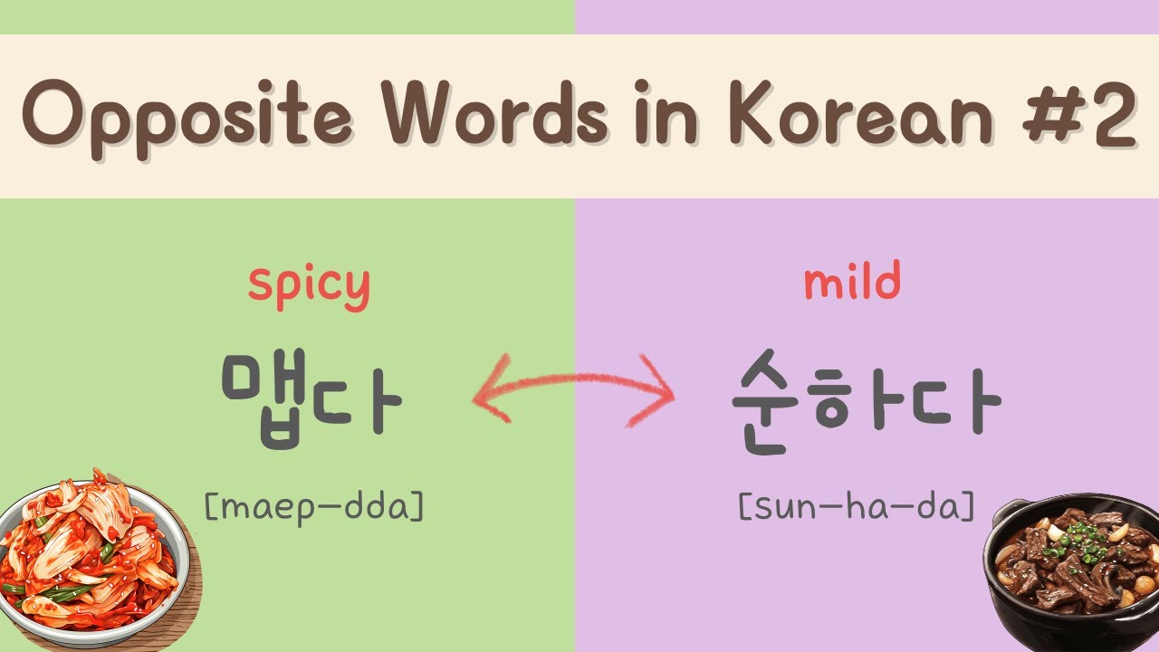 [SUB] Opposite Words in Korean #2 - Korean Antonyms for Beginners - YouTube