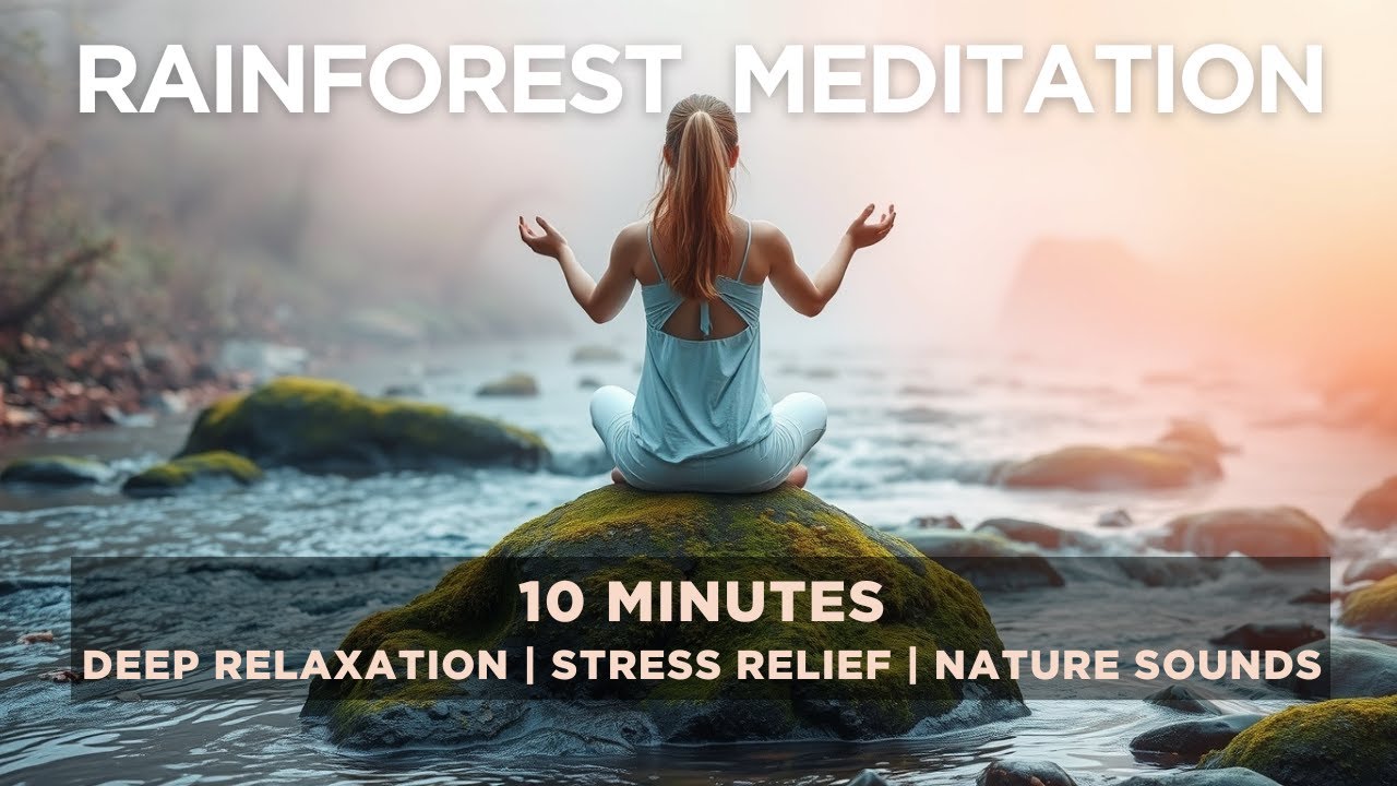 Escape to Nature: 10 Minute Guided Rainforest Meditation for Stress Relief - YouTube