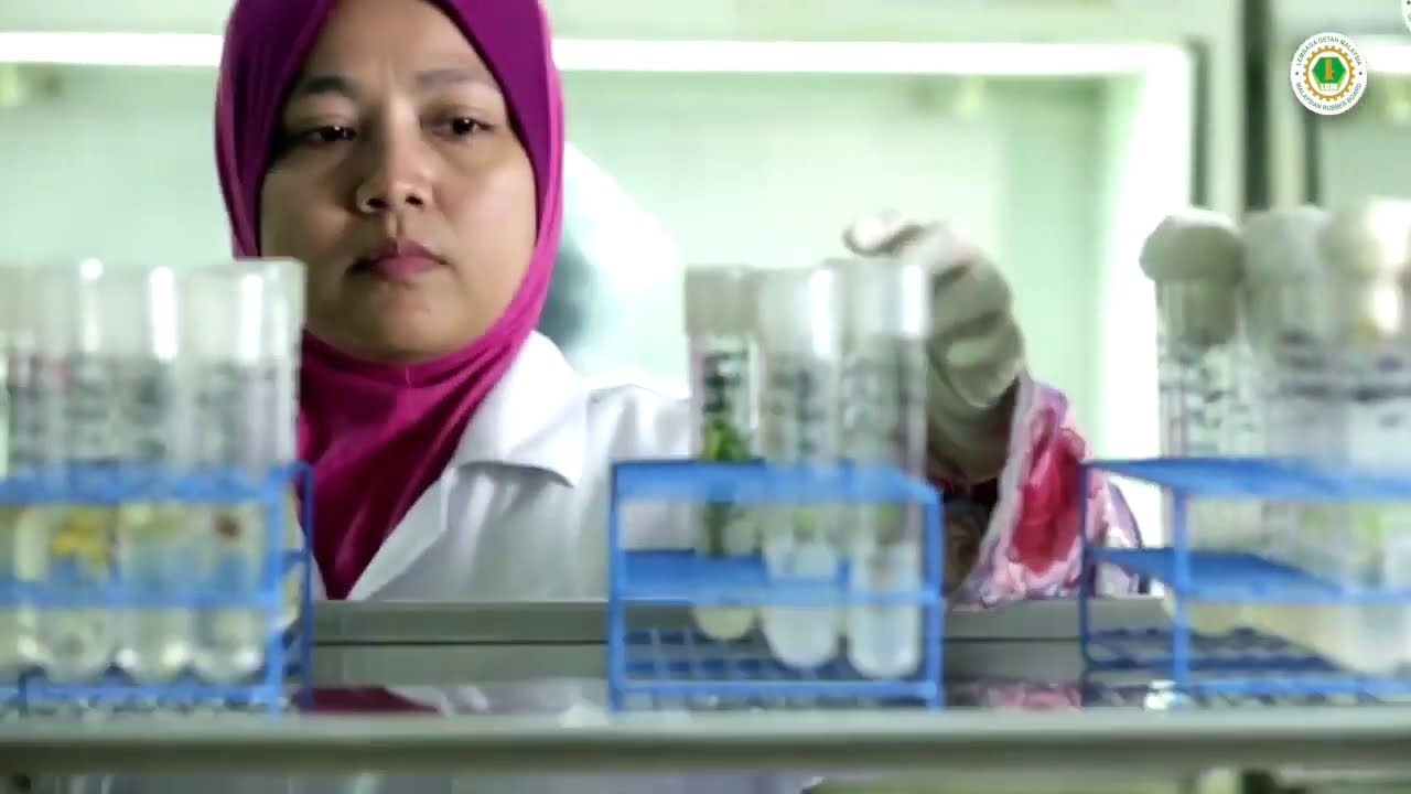 Infographic Video | Inovasi Produk Getah LGM - YouTube