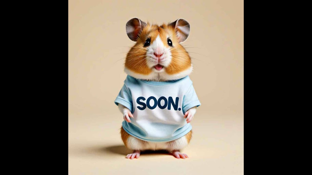 Hamster Combat, хамстер комбат что такое - YouTube