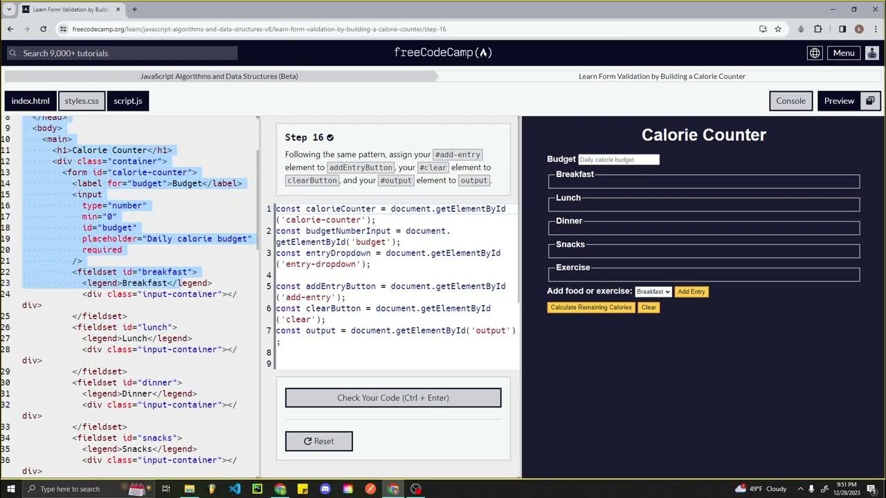 JavaScript Calorie Counter Project: Form Validation, Dynamic Updates ...