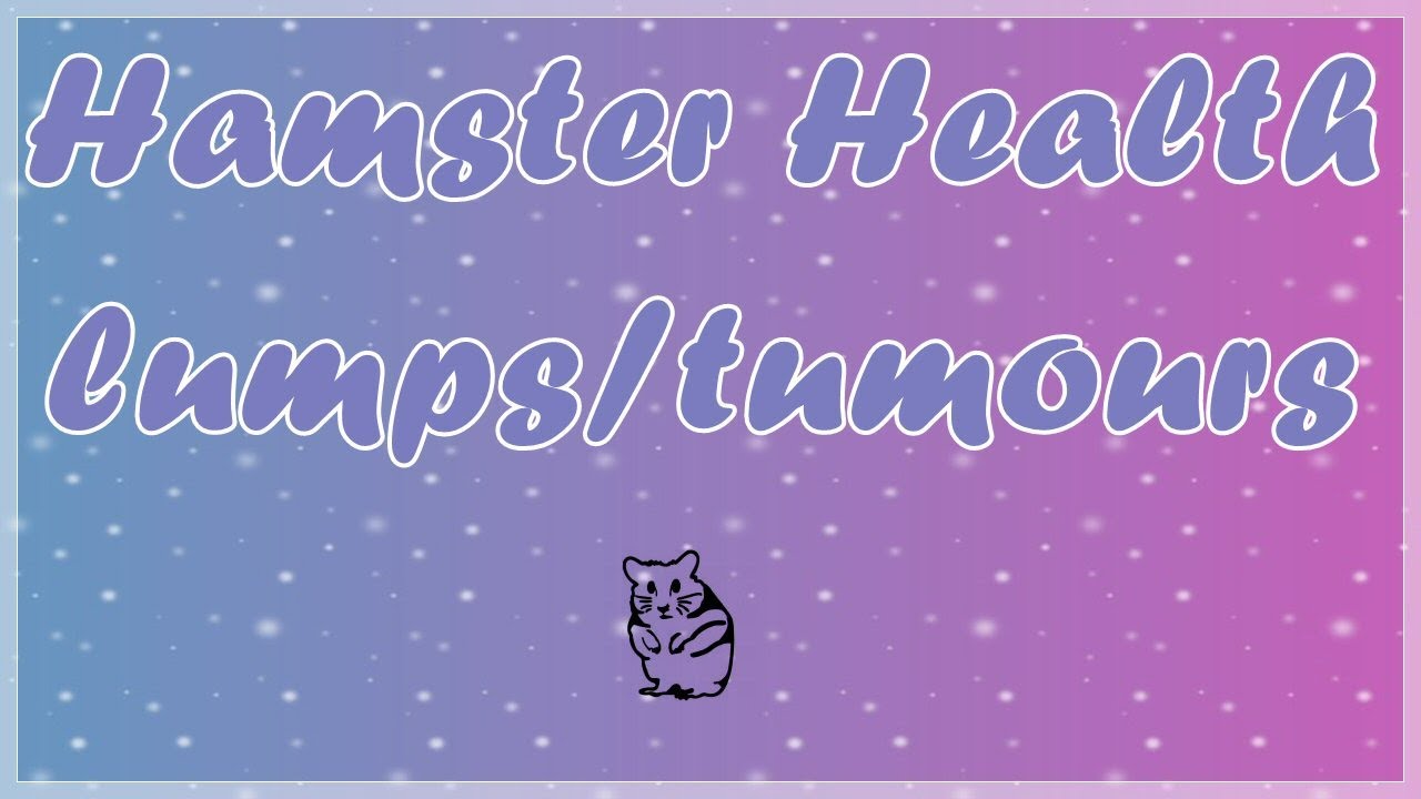 hamster health problem: lumps/tumours - YouTube