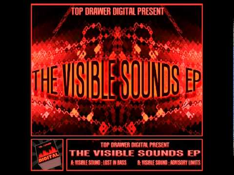 ViSible Sound : The Visible Sounds EP : Lost In Bass - YouTube