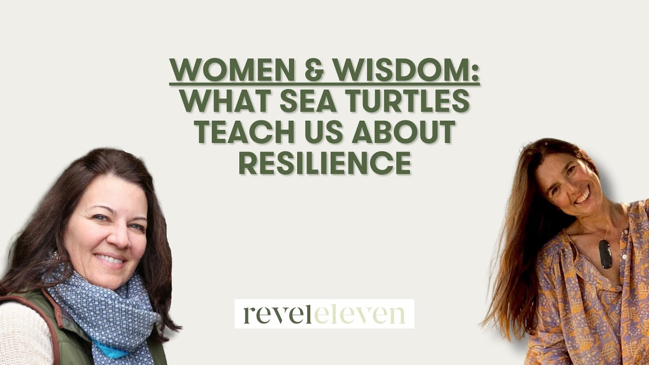 Women & Wisdom: What Sea Turtles Teach Us About Resilience - YouTube