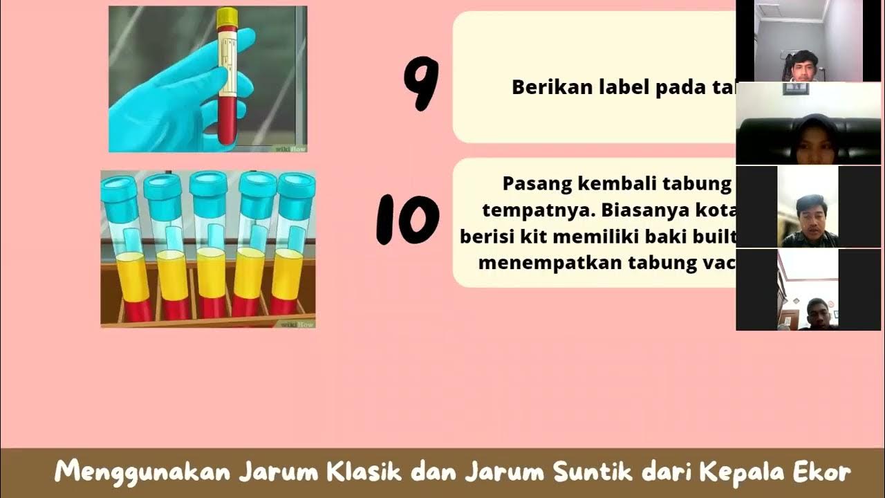 Pengambilan Sampel Darah Pada Sapi - YouTube