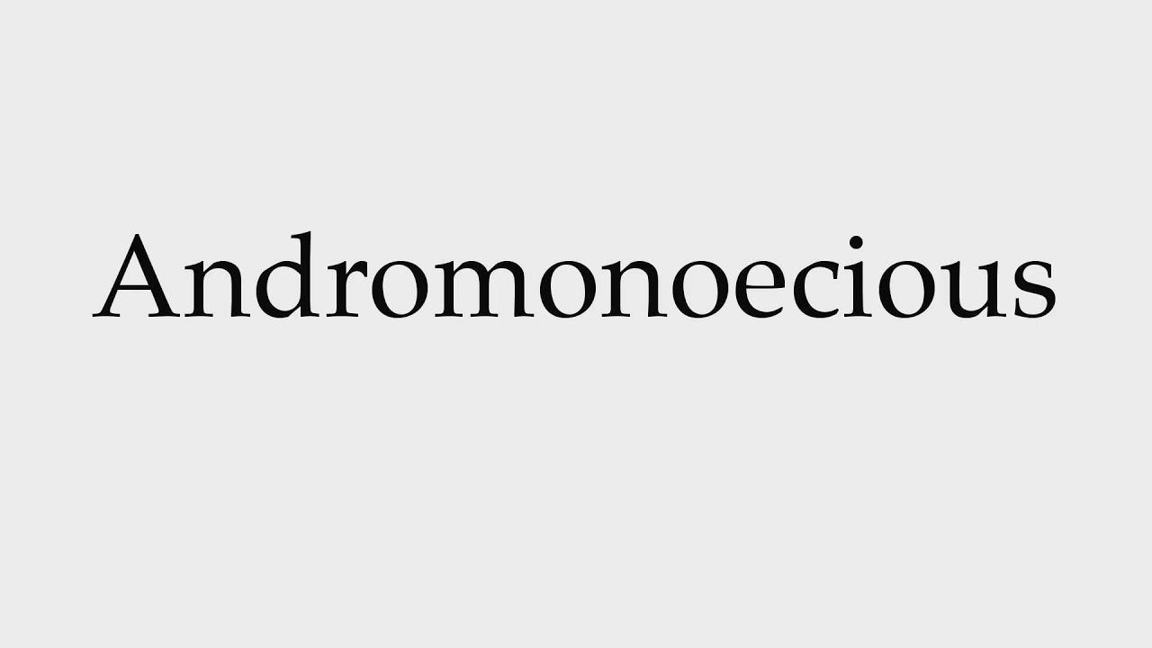 How to Pronounce Andromonoecious - YouTube