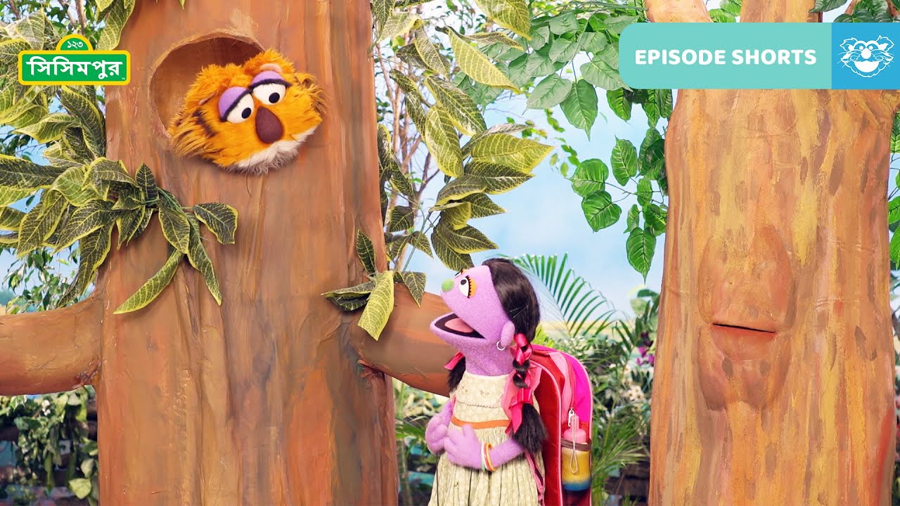 Sisimpur | হালুম গাছ | Halum Tree | Educational video for children in ...