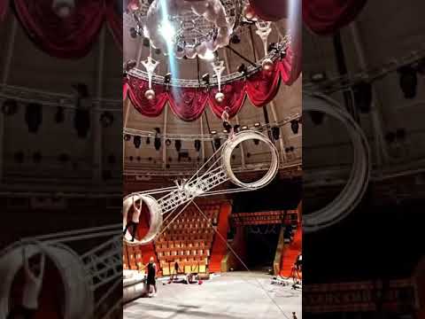 muhteşem bir sirk gösterisi