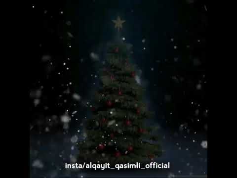 Həmrəylik gununə aid video
