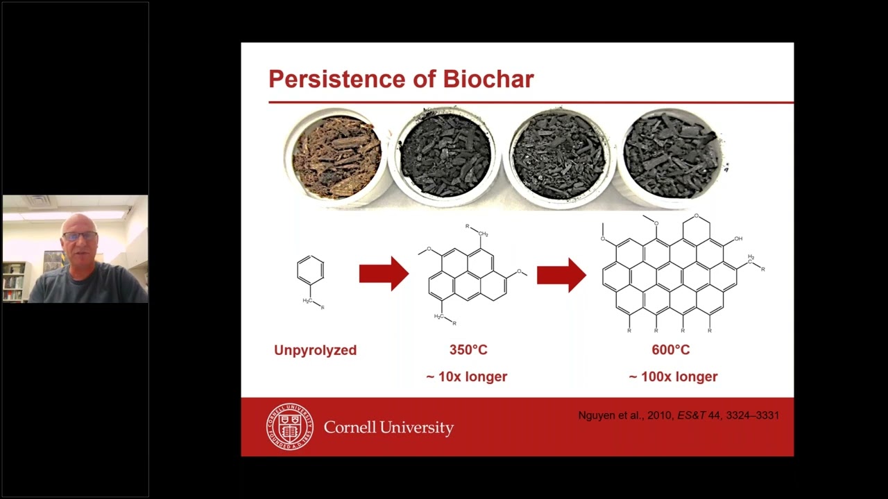 What are the soil carbon sequestration potentials of biochar and ...