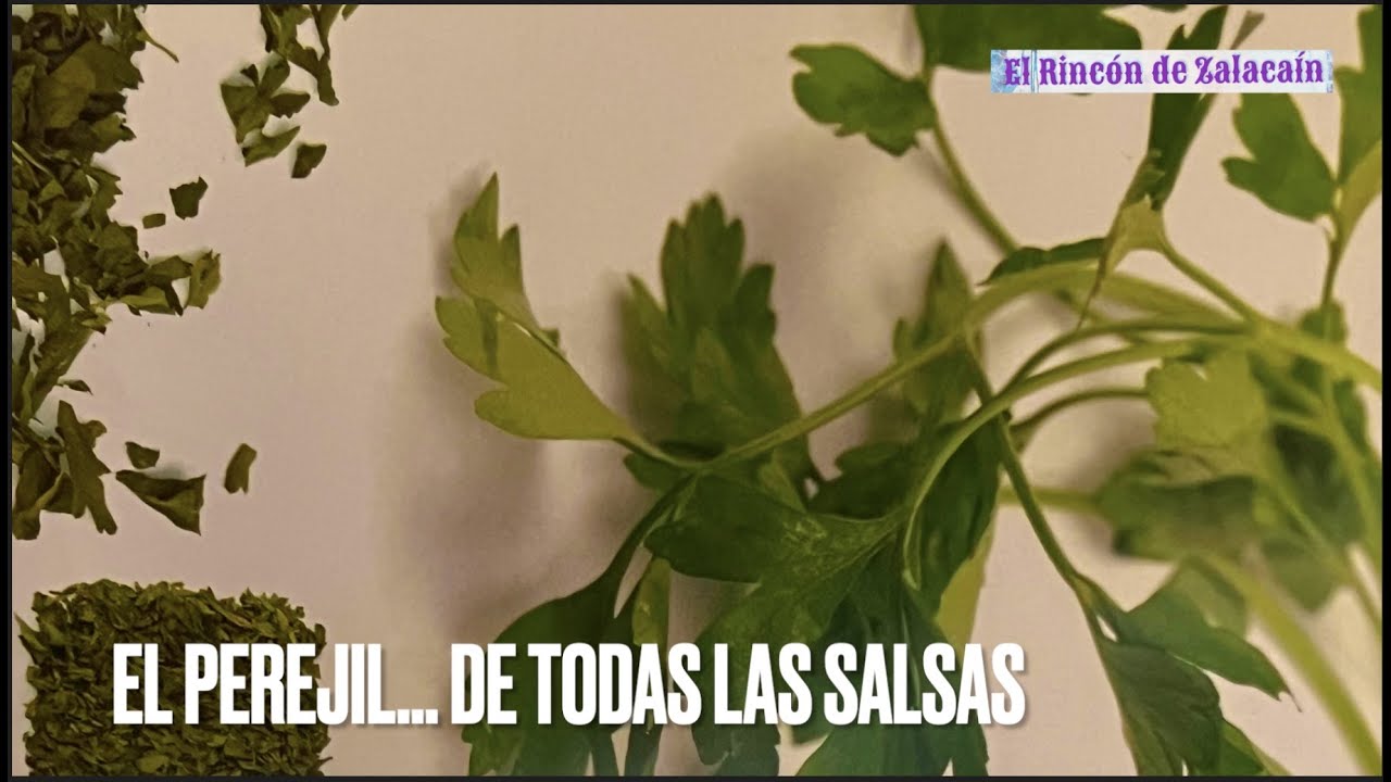El perejil... de todas las salsas | junio 29 2023 - YouTube