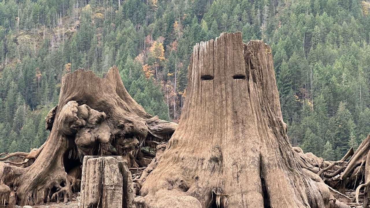 Stump Season Lake Cushman Wa OP&H Scorpio - YouTube