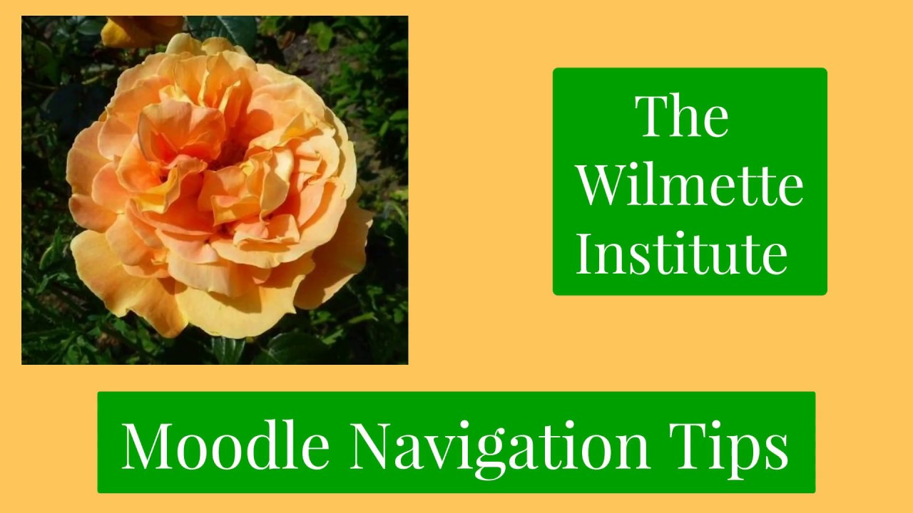 Moodle Navigation Tips: The Handy Hamburger Icon - YouTube