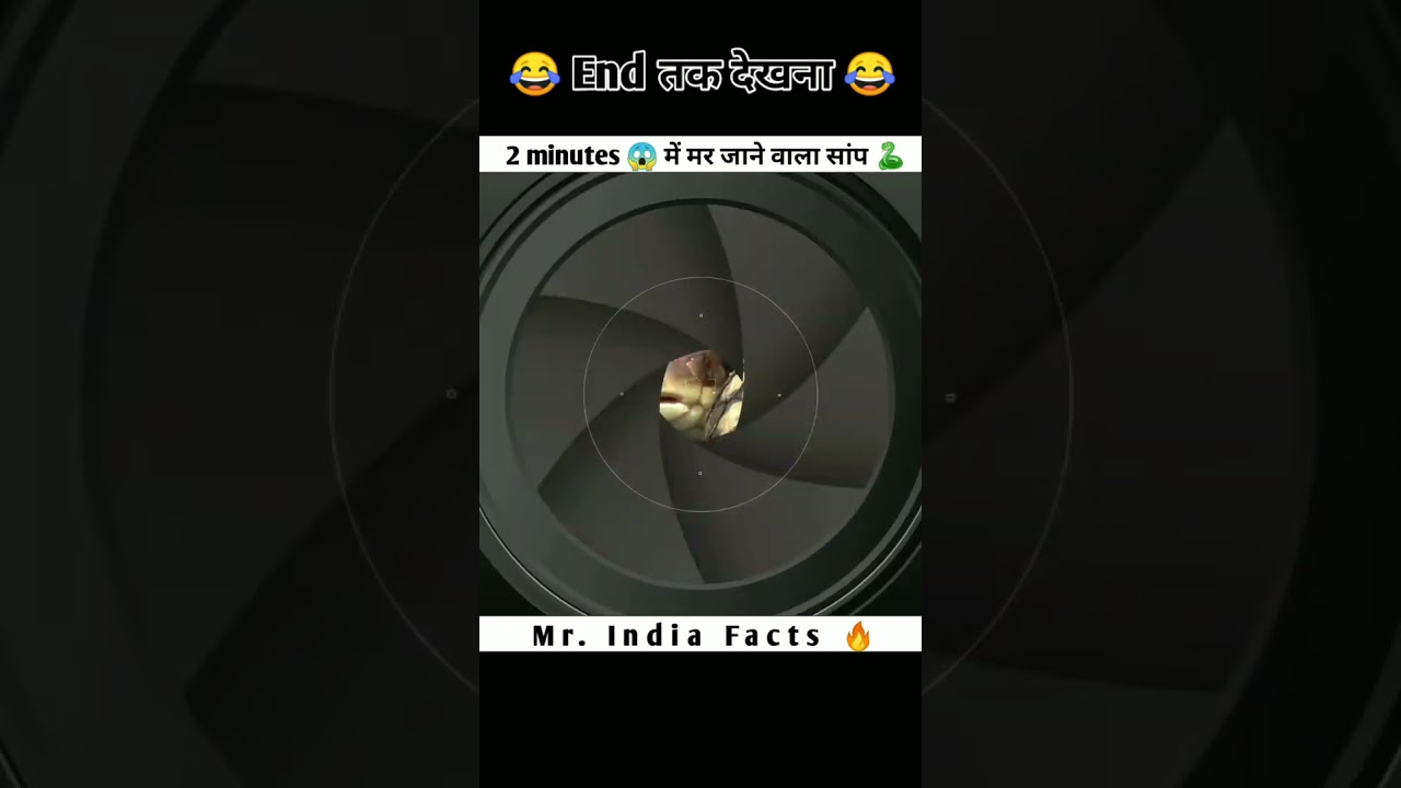 Ooooooooooooooooooooooooooooooooooooooooooooooooooooooooooooooooooooooo ...