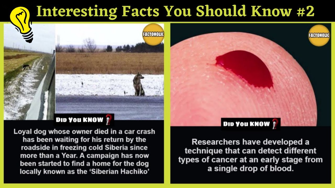 Interesting Facts You Should Know #2 | Did You Know these Amazing Facts ...